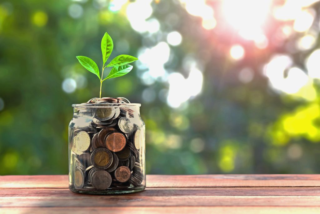 How To Grow Your Money In A Matter Of Months - Ventures Digest